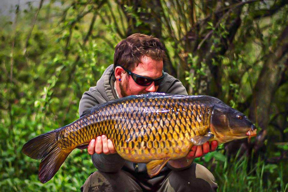 Bushwacked | Total Carp